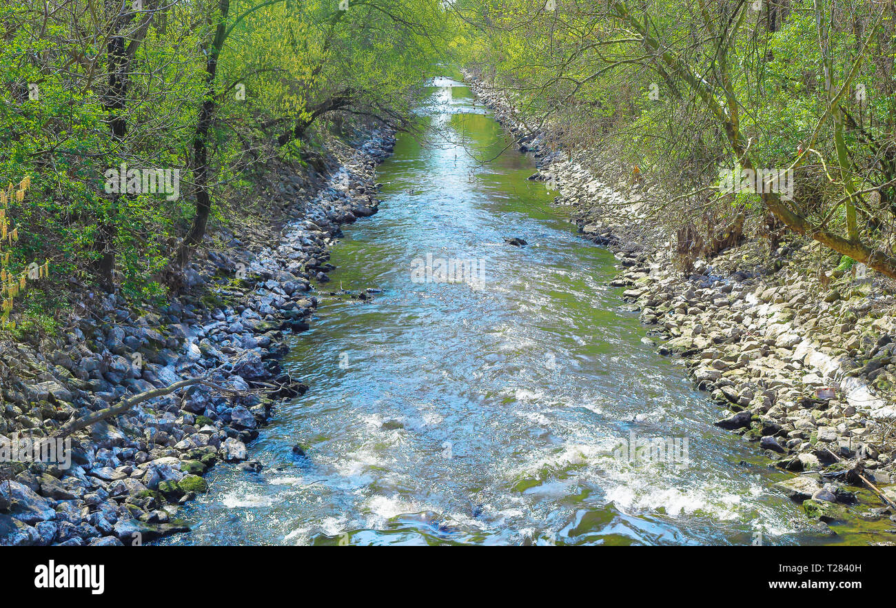 spring little river with green trees Stock Photo - Alamy