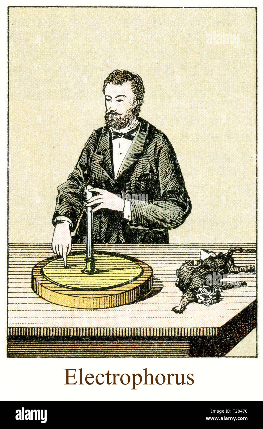 Electrostatic Induction Tesla