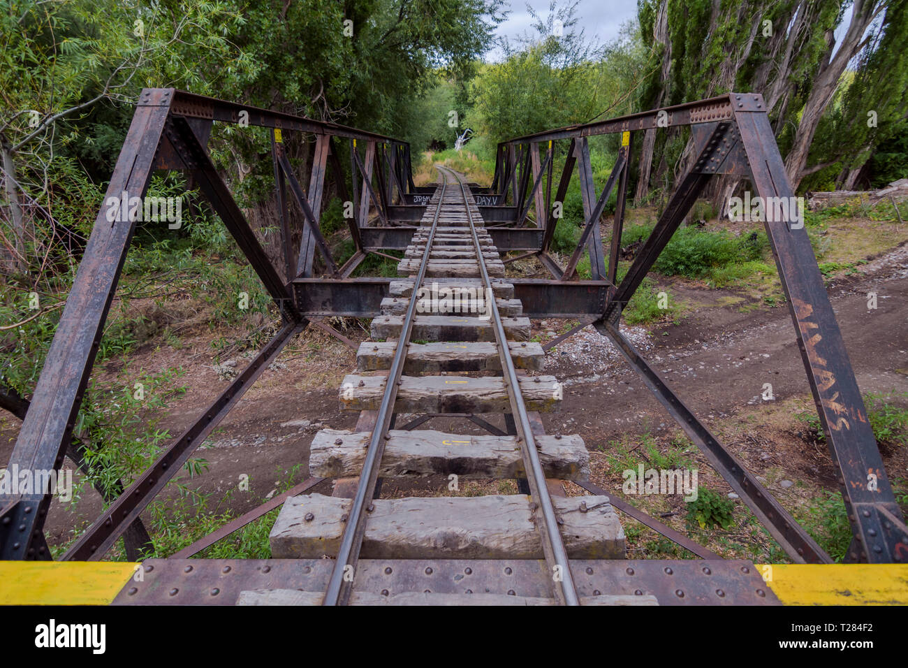 Tall grass in andes hi-res stock photography and images - Alamy
