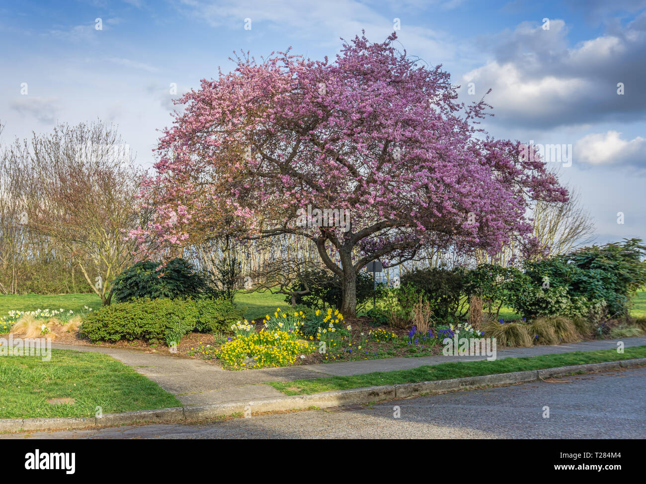 Streetside garden hi-res stock photography and images - Alamy