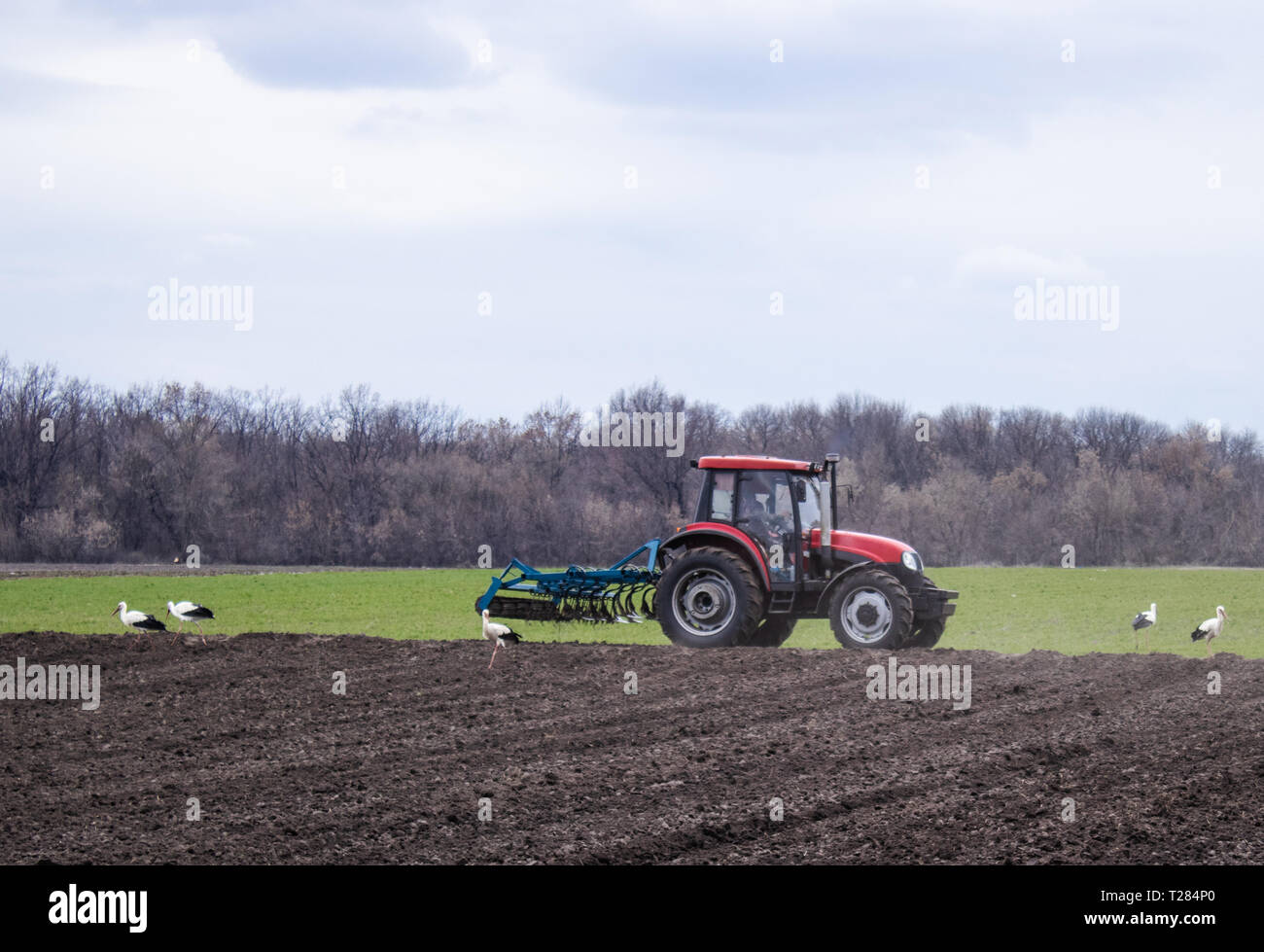 The tractor handles the land. Farmers prepare the land for sowing seeds ...