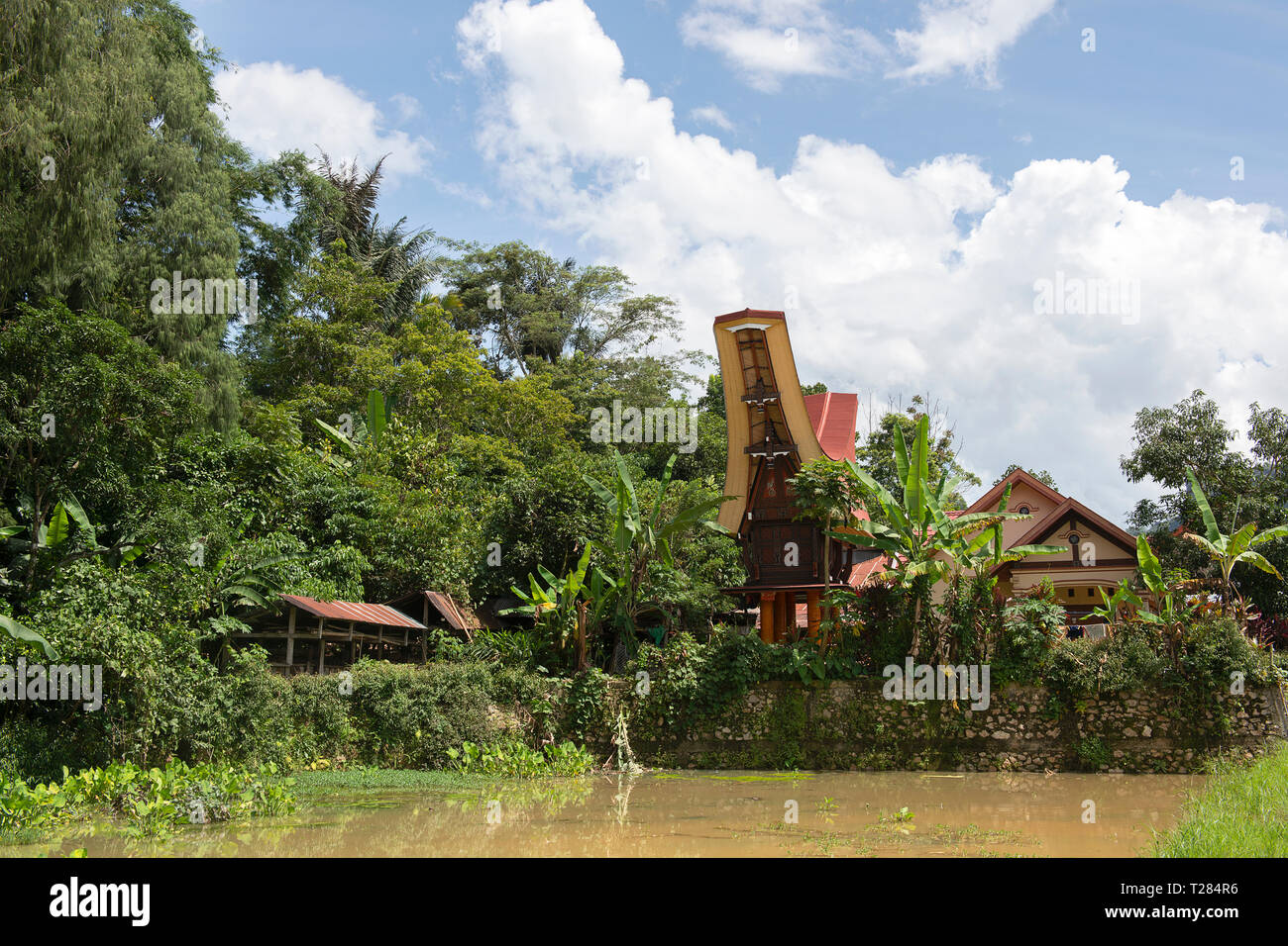 Tongkonan houses, traditional Torajan buildings, Tana Toraja is the ...