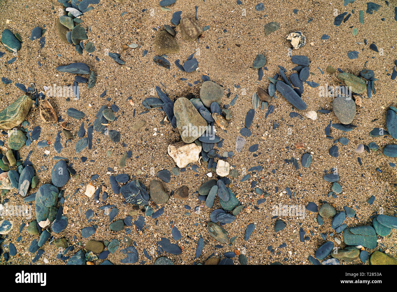 Grit beaches hi-res stock photography and images - Alamy