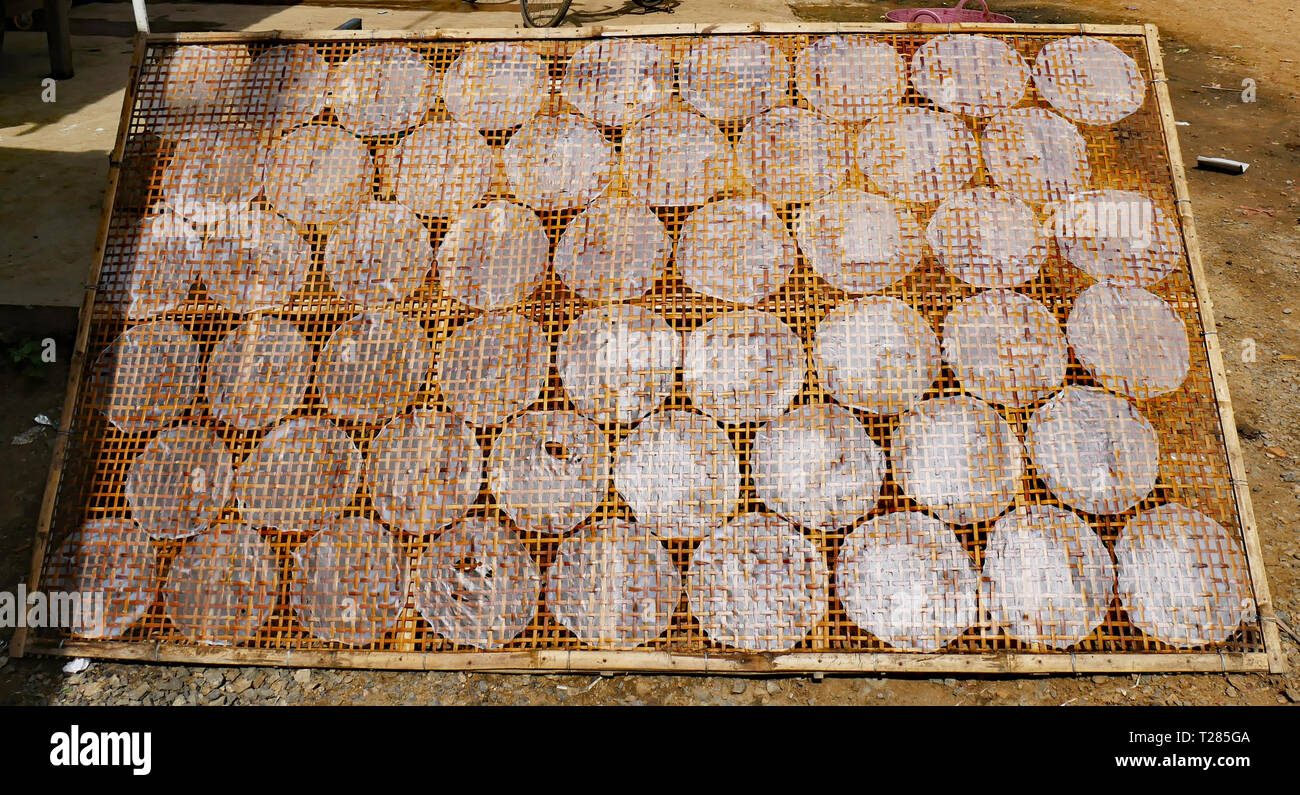 Battambang, Cambodia. Translucent rice paper drying in the sun on a ...