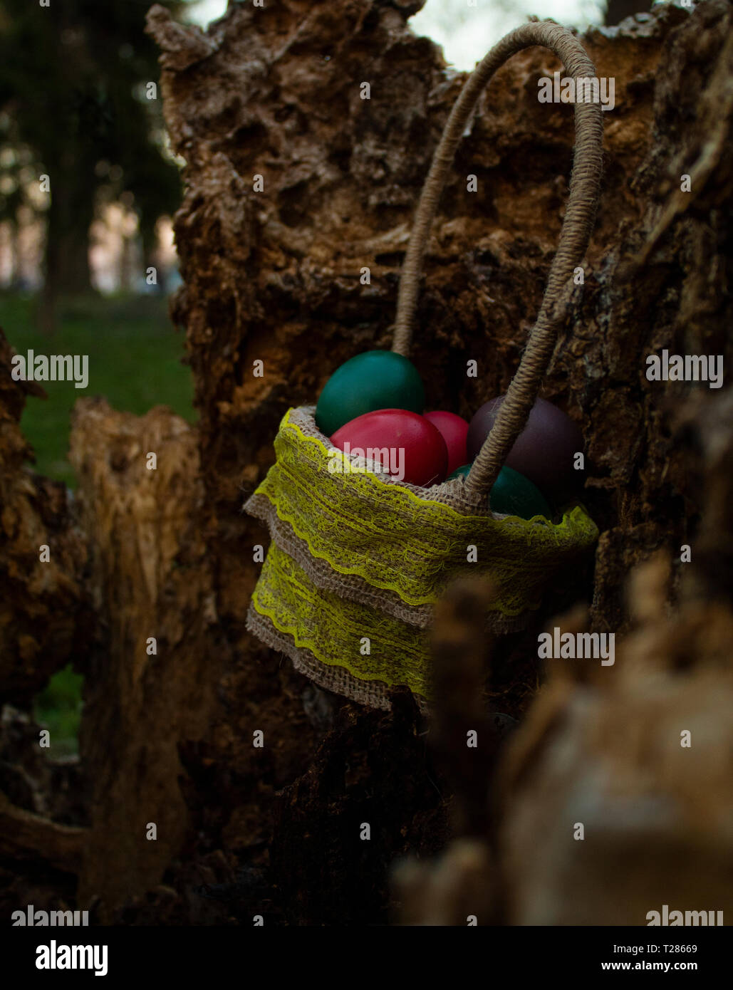 Easter eggs in grass sunset hi-res stock photography and images - Alamy