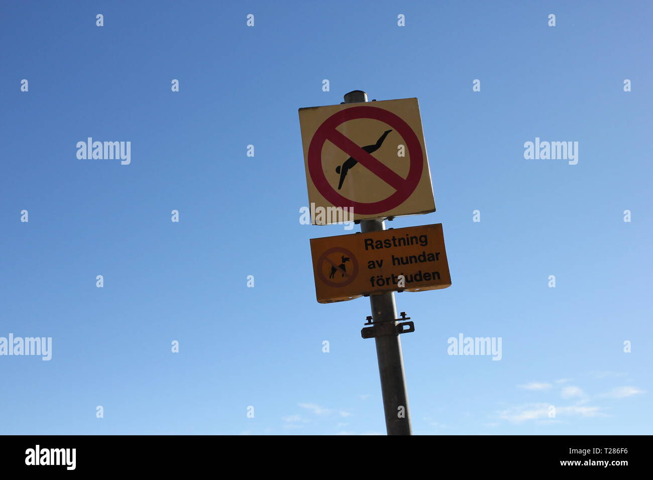 No diving sign against a blue sky. And below a sign in Swedish no dogs ...