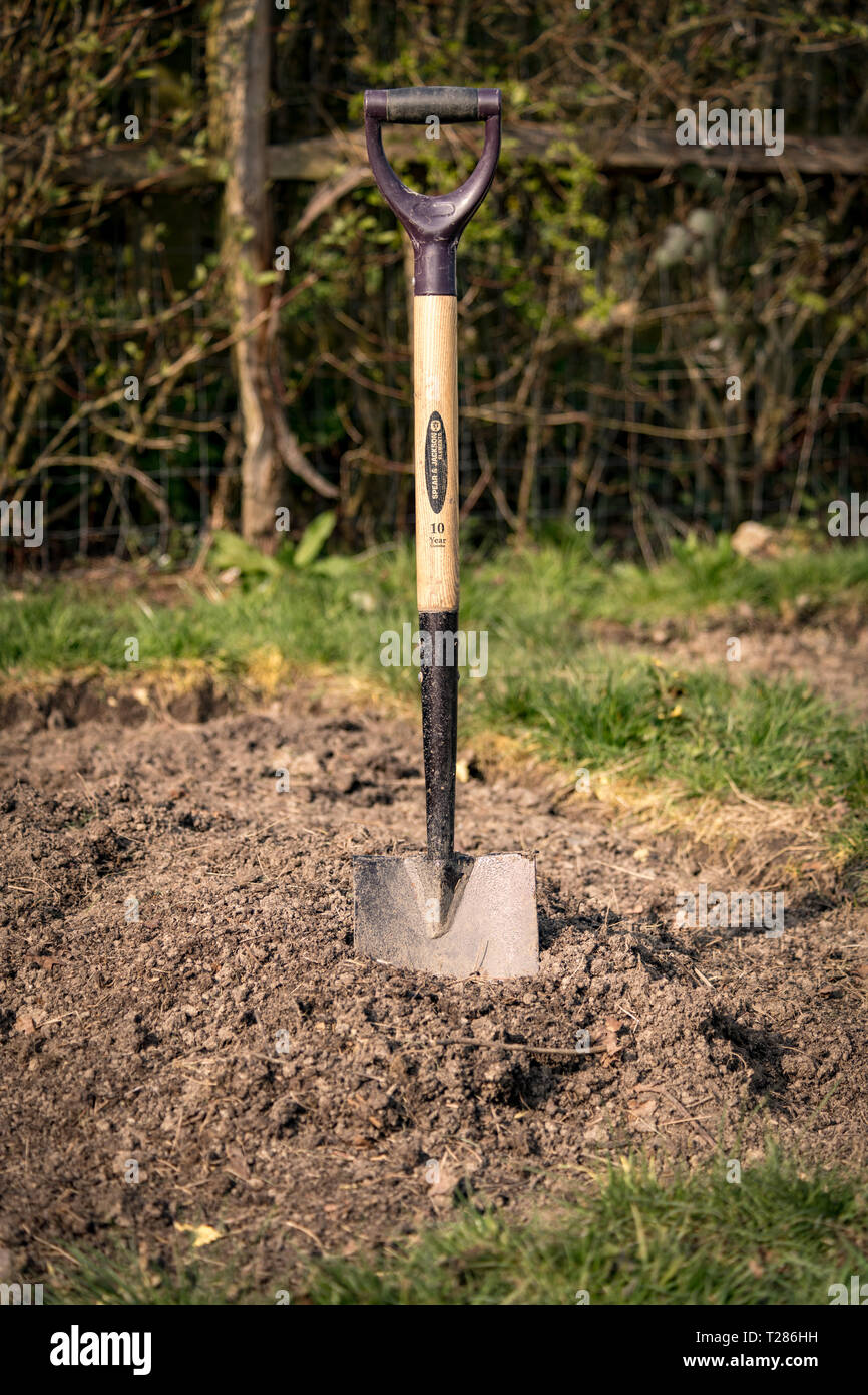 Spade stuck in the soil Stock Photo - Alamy