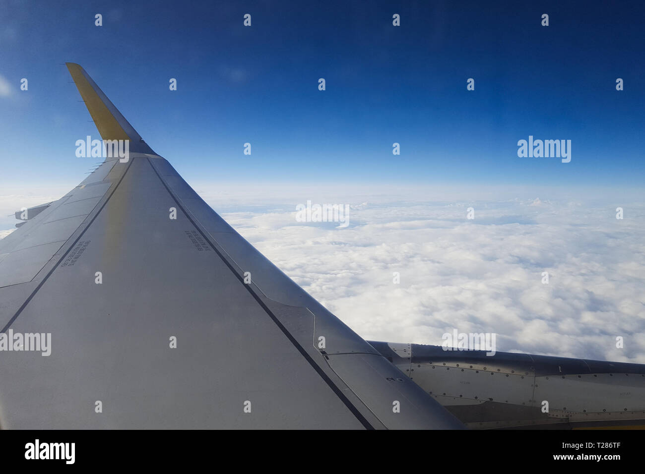 wing of plane Stock Photo - Alamy