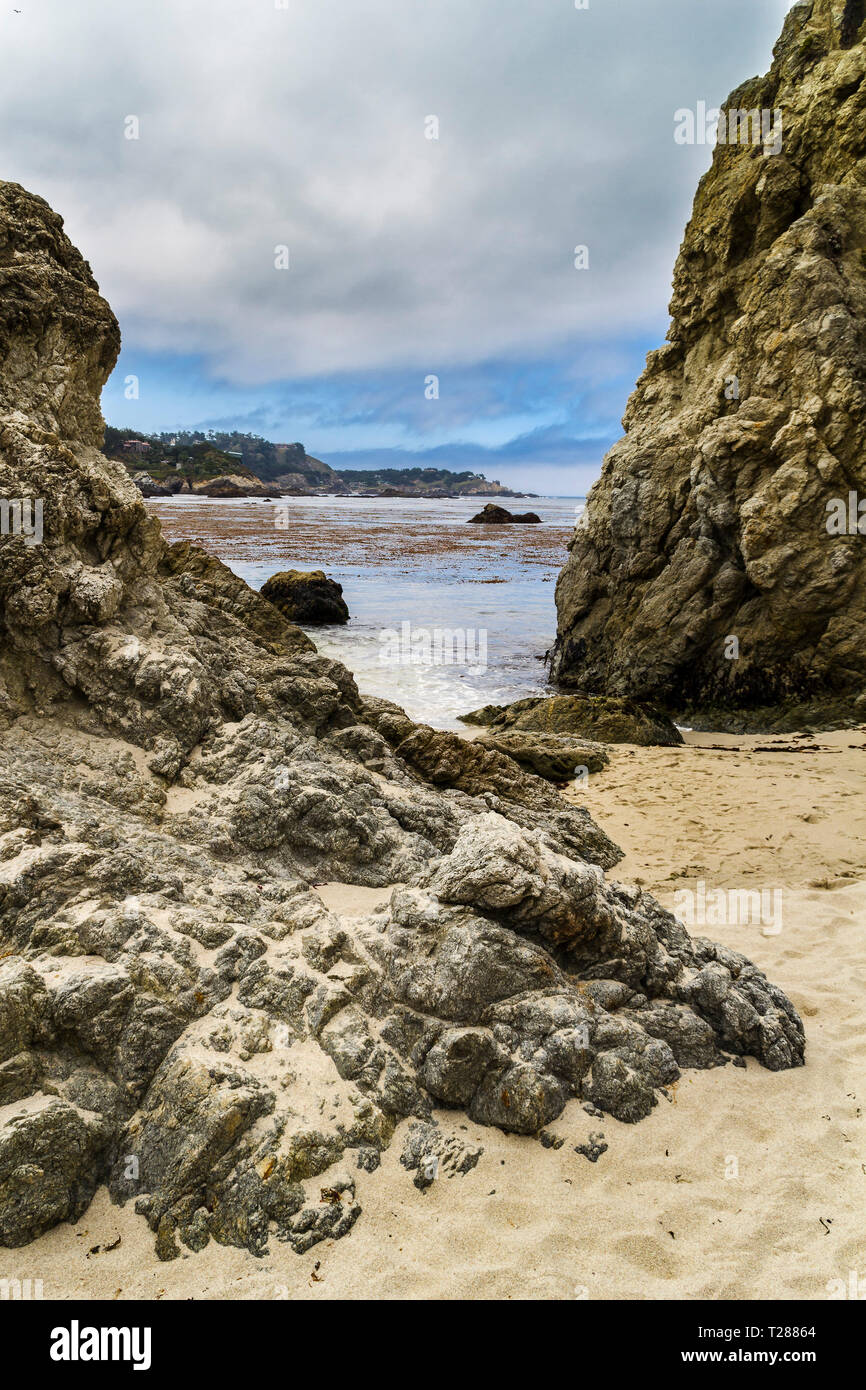 Point beach state forest hi-res stock photography and images - Alamy