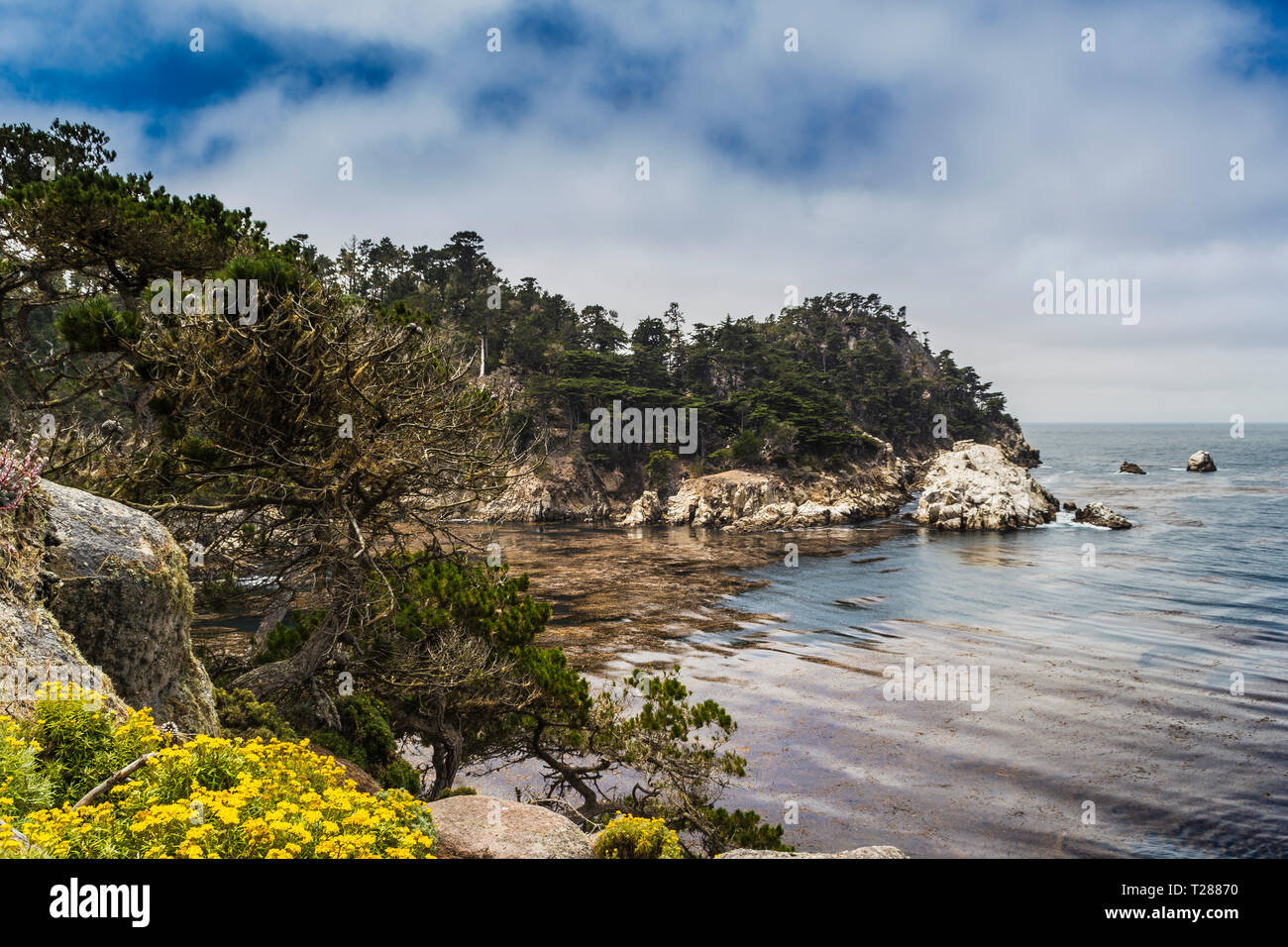 Point lobos state park hi-res stock photography and images - Alamy