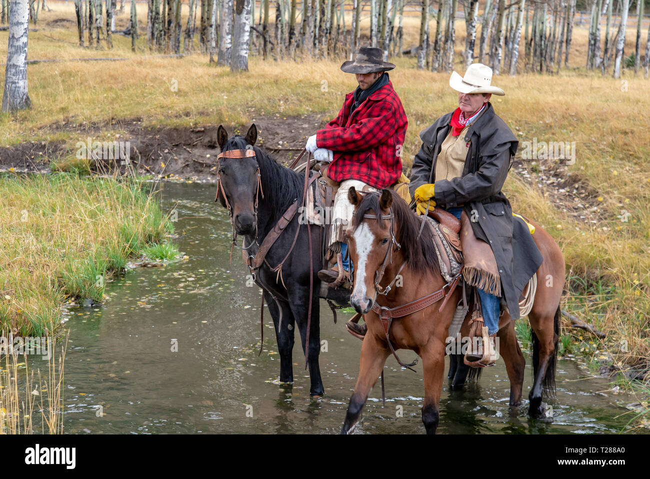 Two Cowboys Riding Horses High Resolution Stock Photography and Images ...