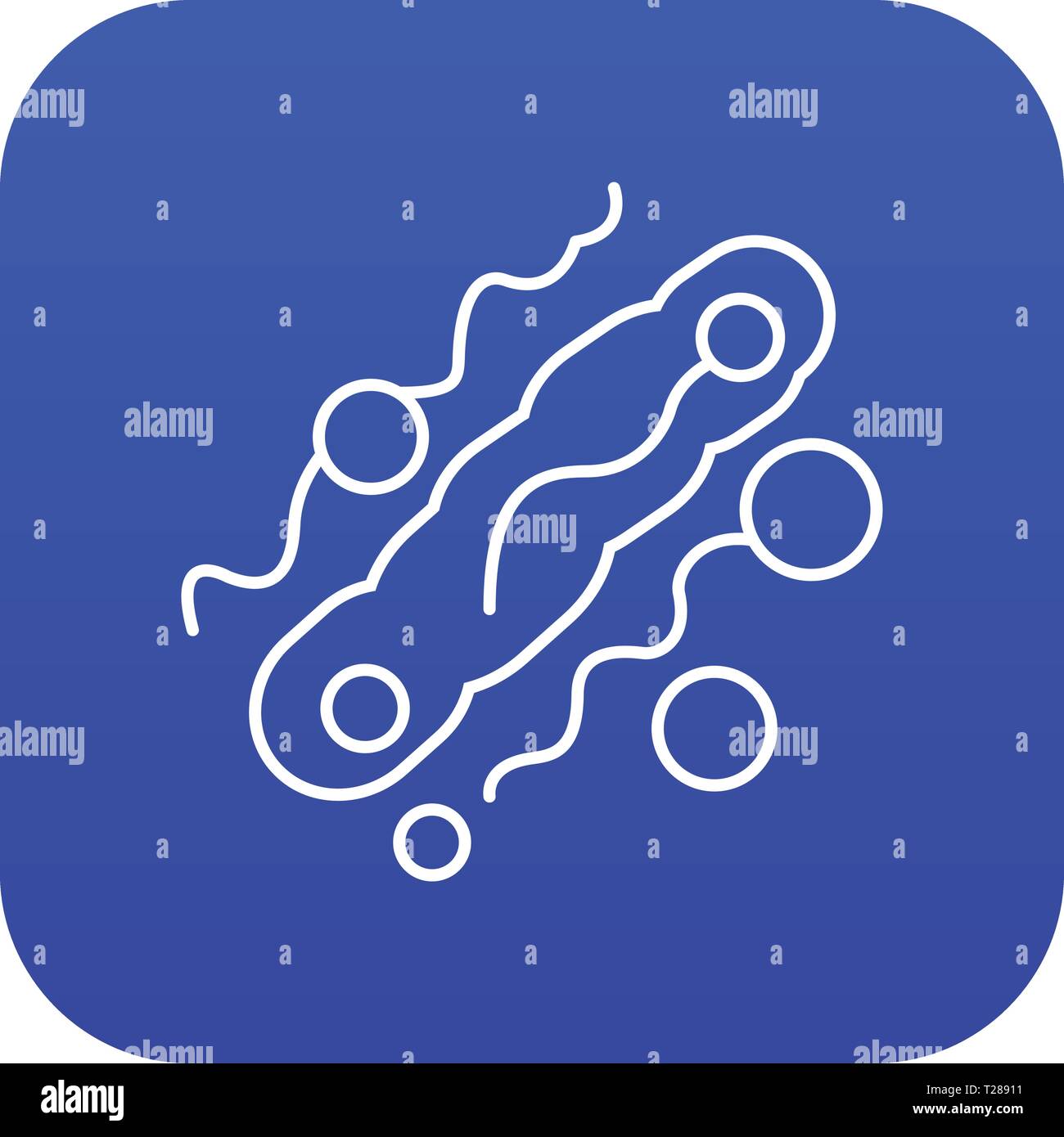 Corynebacterium icon blue vector Stock Vector Image & Art - Alamy