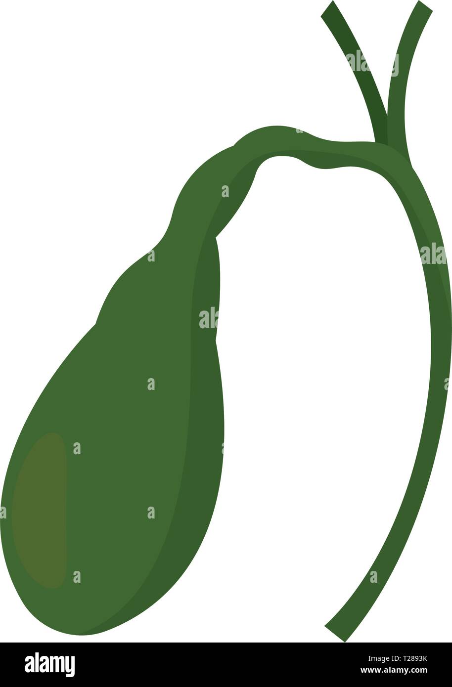 Abstract human organ Stock Vector Image & Art - Alamy