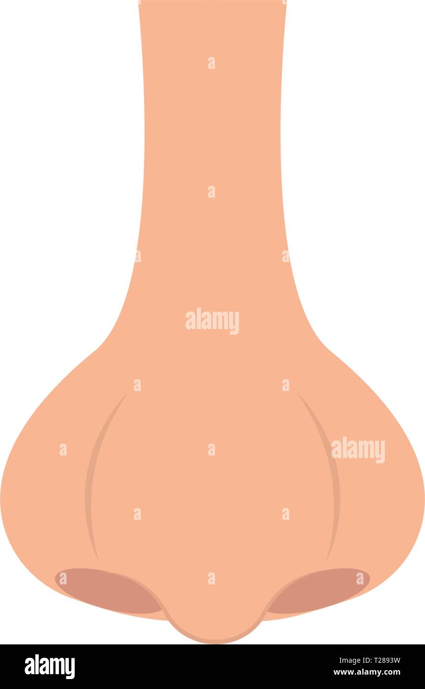 Abstract human nose Stock Vector Image & Art - Alamy