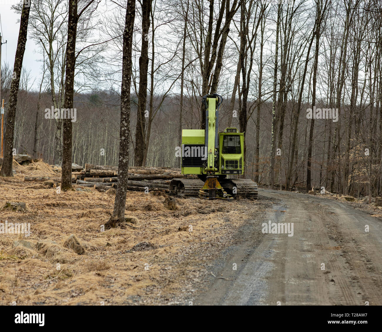 Logging operations hi-res stock photography and images - Alamy
