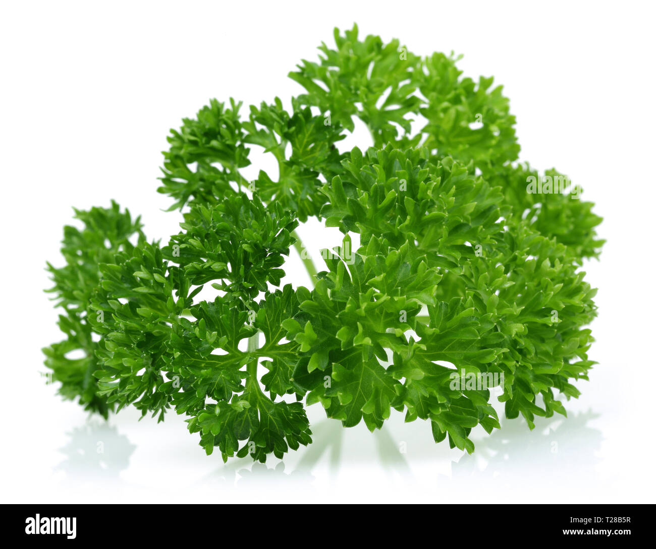 Fresh green parsley isolated on white background Stock Photo - Alamy