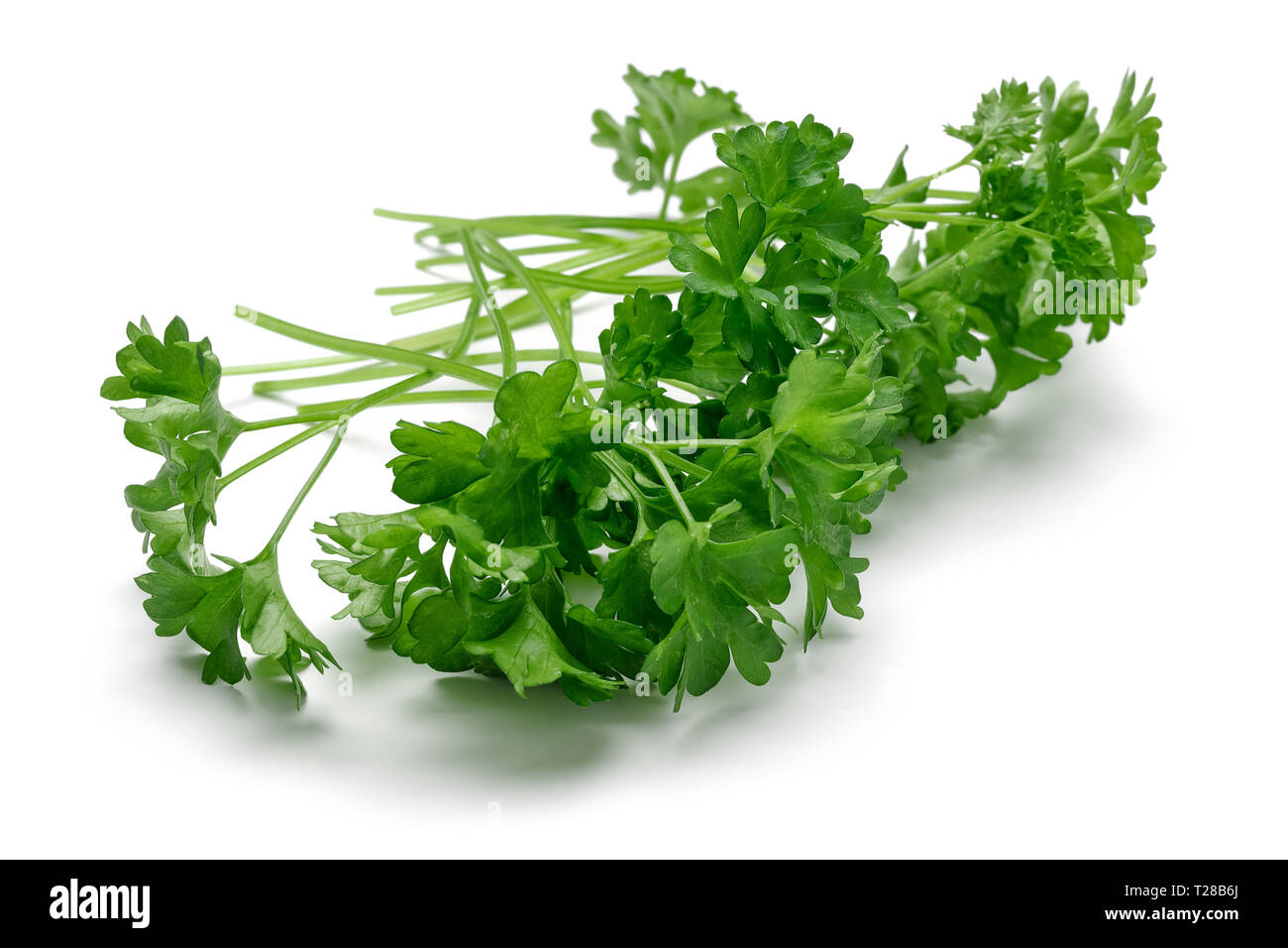 Fresh green parsley isolated on white background Stock Photo - Alamy