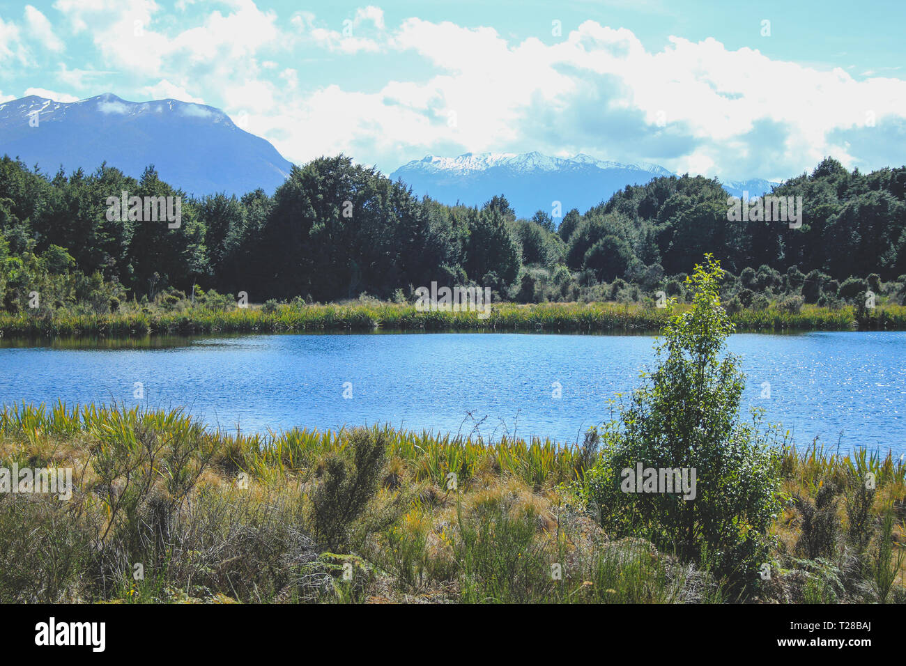 Lake Mistletoe in Southland, South Island, New Zealand Stock Photo - Alamy