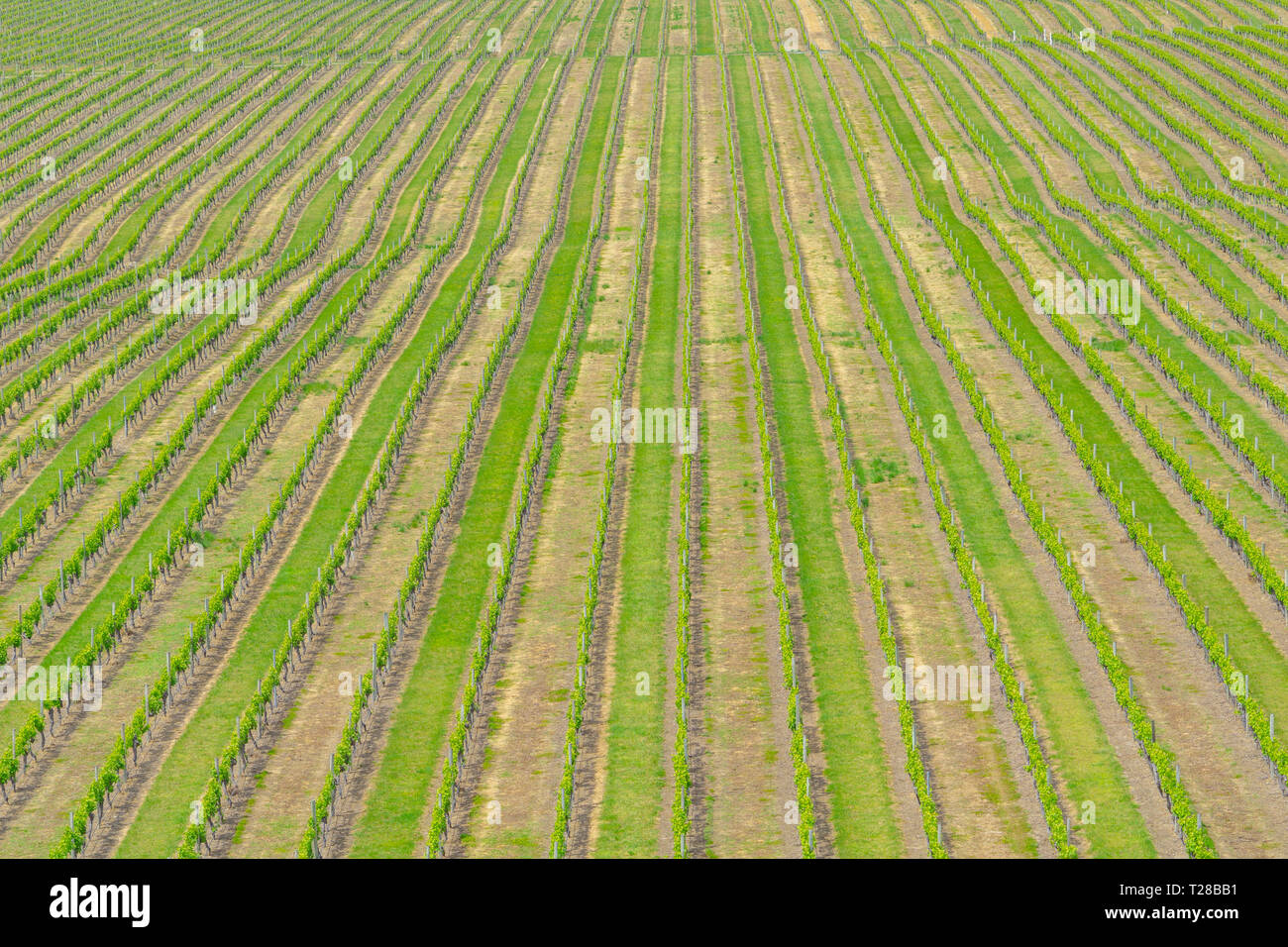 Trellis posts hi-res stock photography and images - Alamy