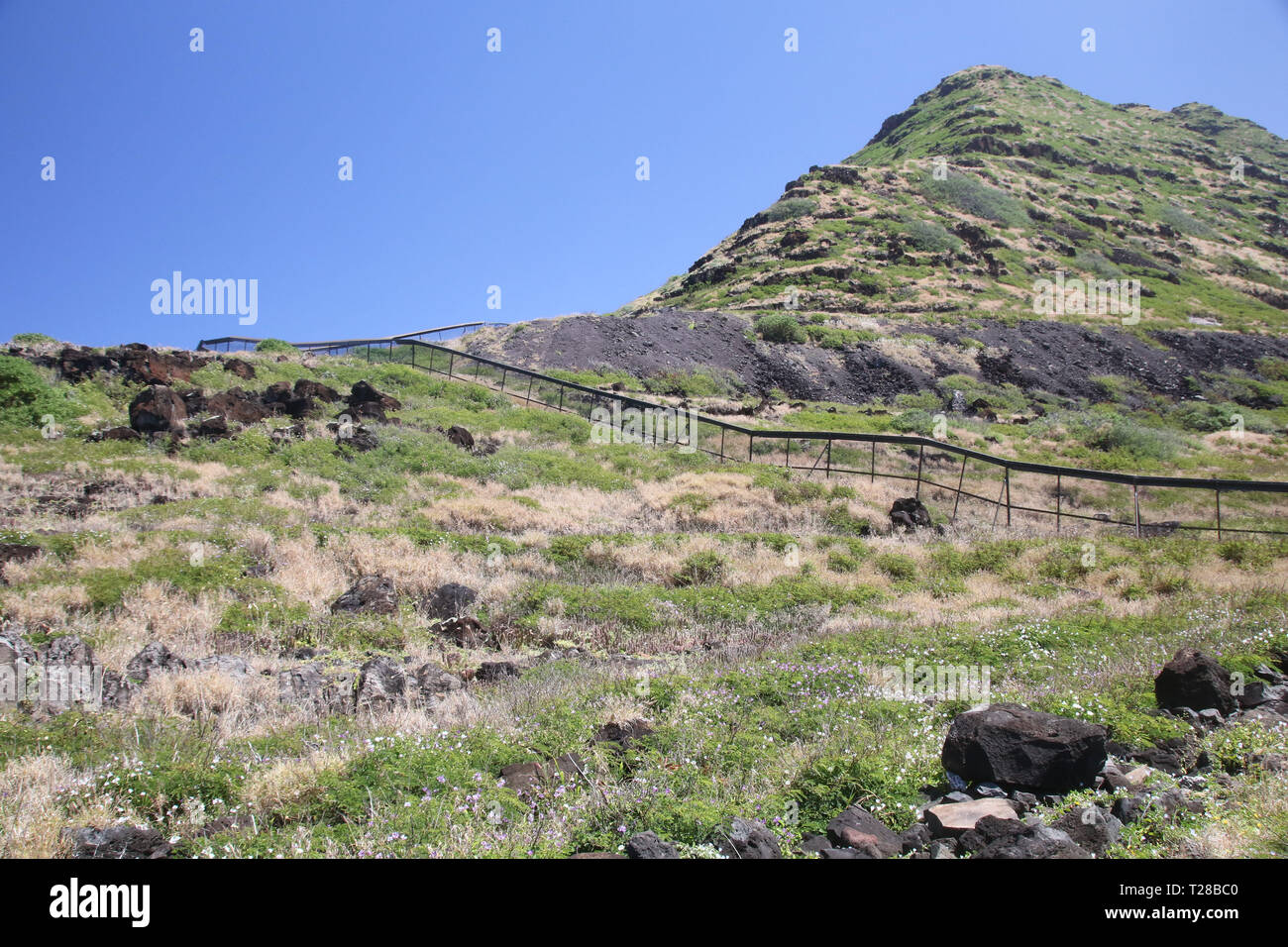 Kaena Point Trail, Oahu, Hawaii Stock Photo - Alamy