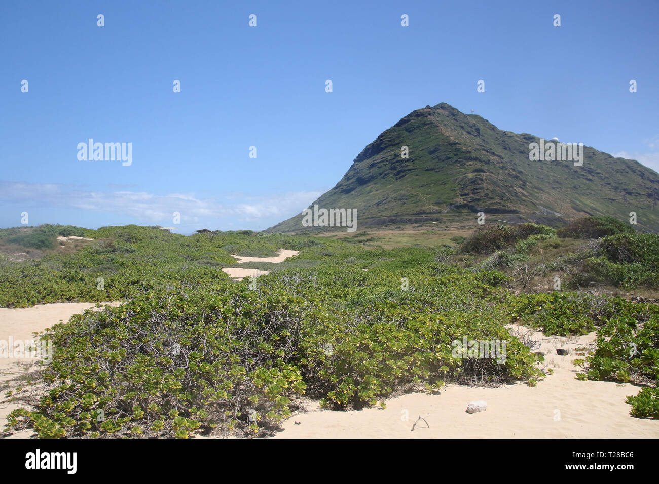 Kaena Point Trail, Oahu, Hawaii Stock Photo - Alamy