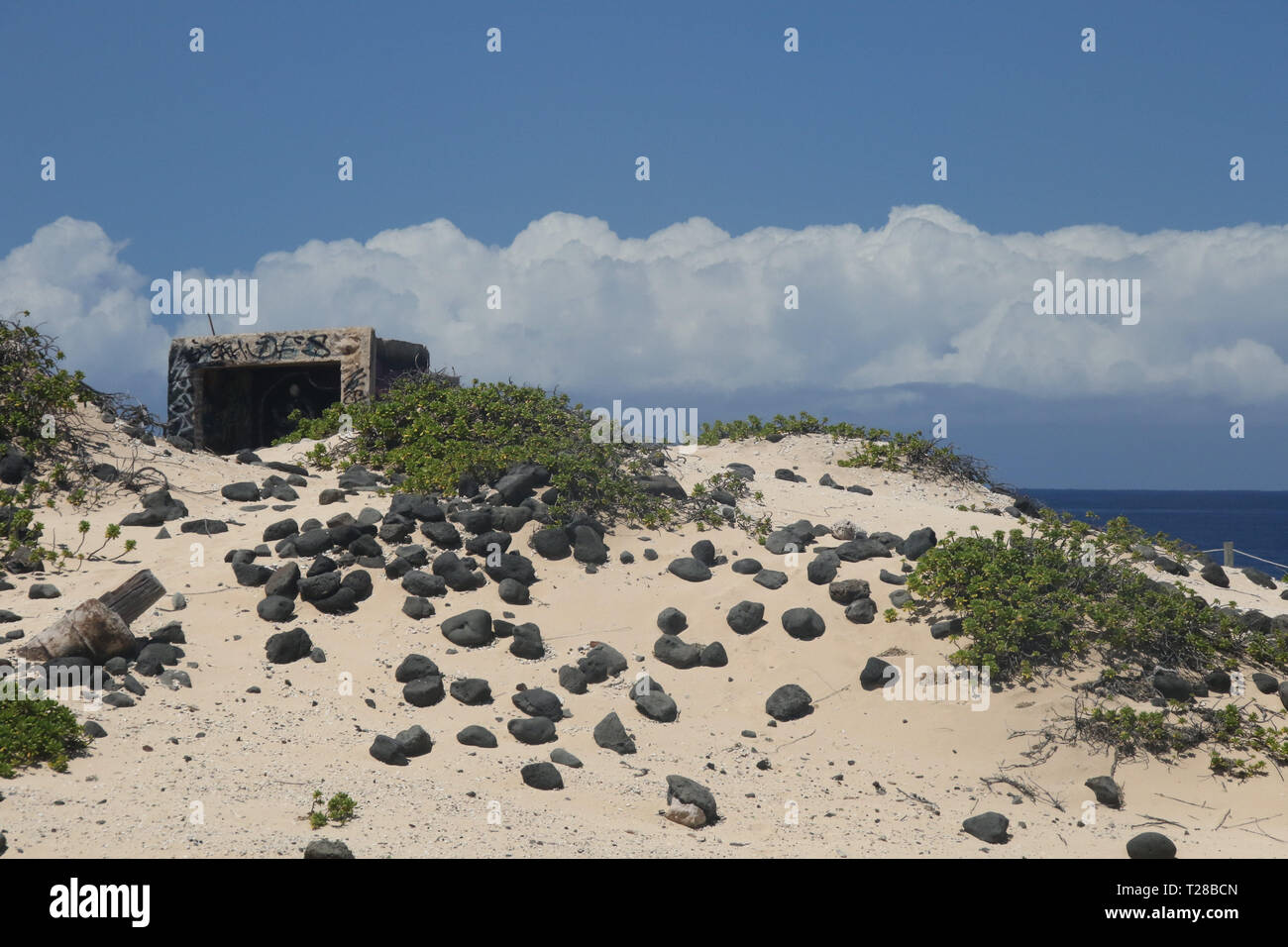 Kaena Point Trail, Oahu, Hawaii Stock Photo - Alamy