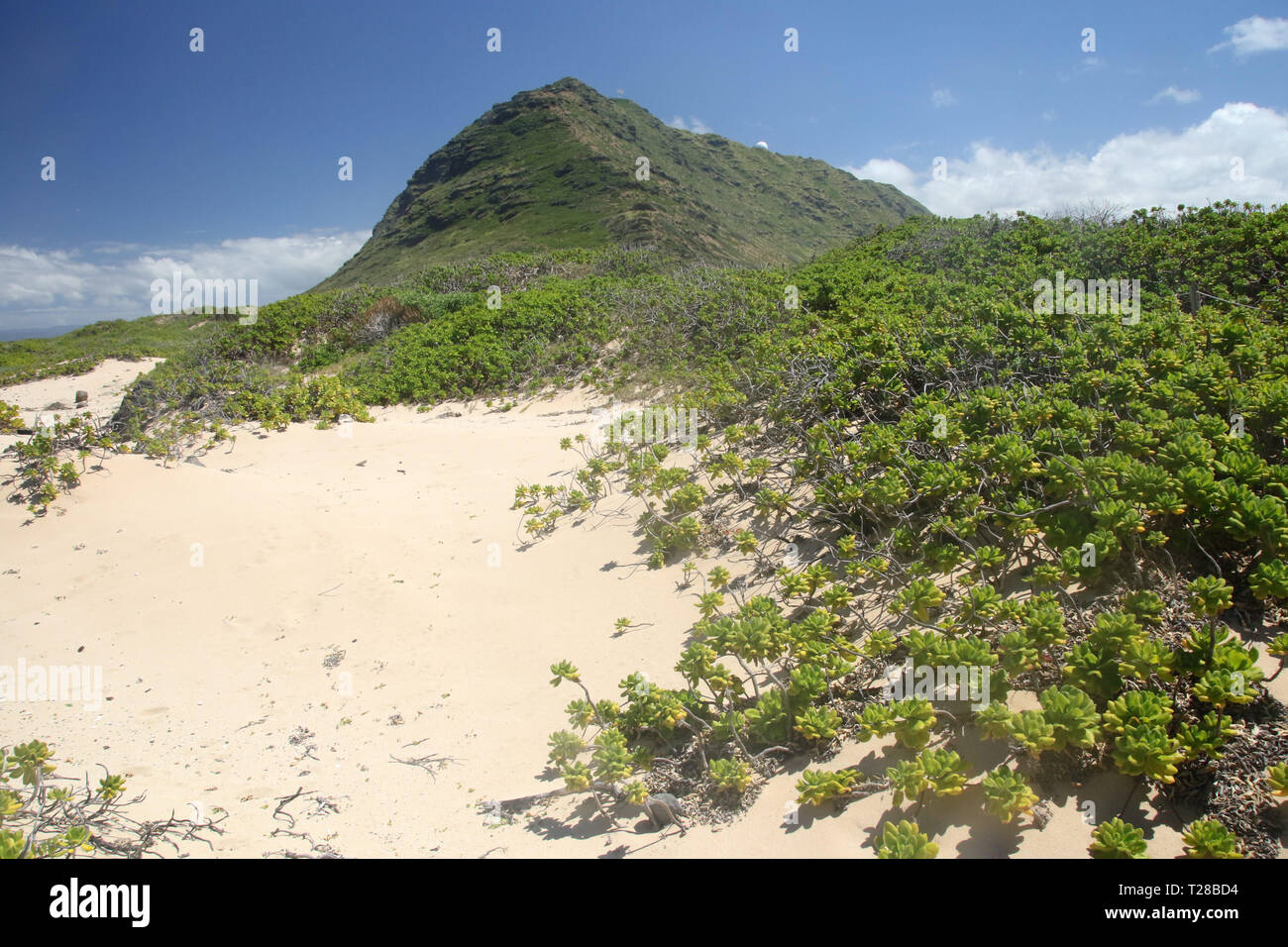 Kaena Point Trail, Oahu, Hawaii Stock Photo - Alamy
