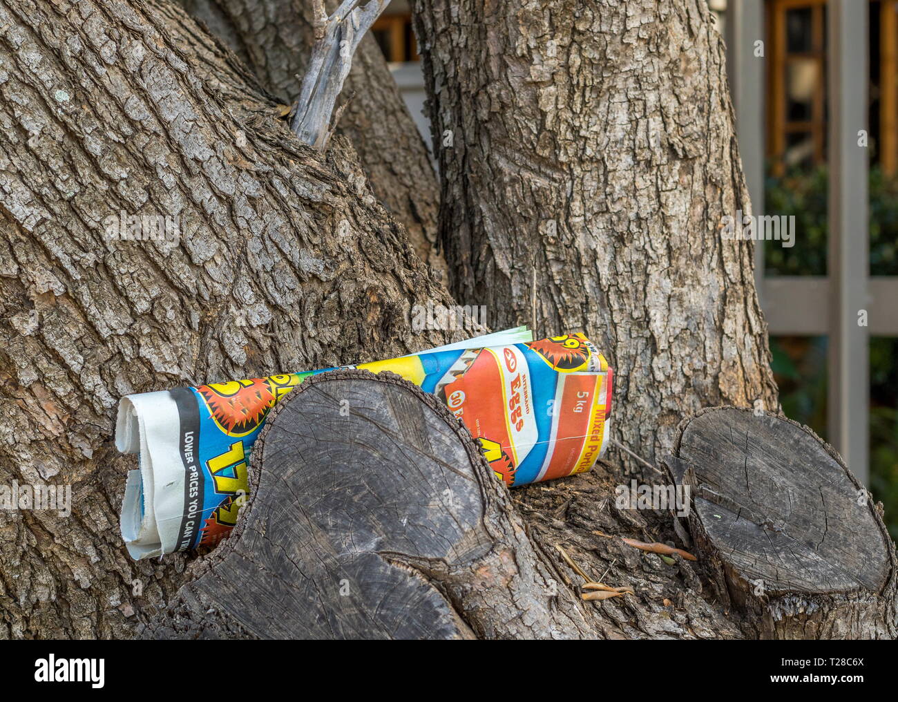 Hand delivered newspaper isolated in a tree on a pavement image with ...