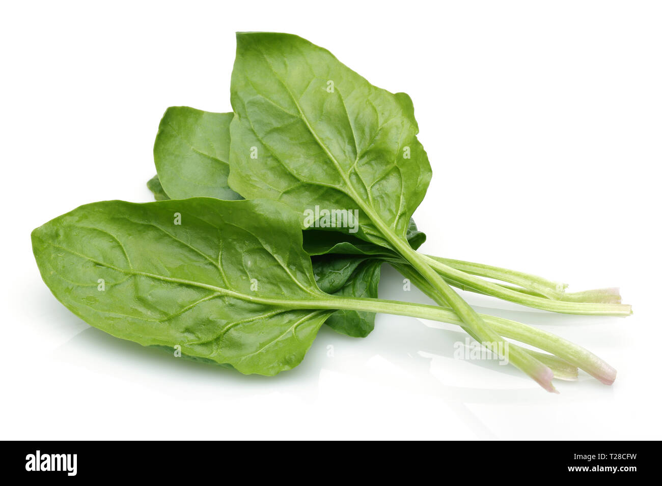 Bunch of fresh spinach isolated on white background Stock Photo - Alamy