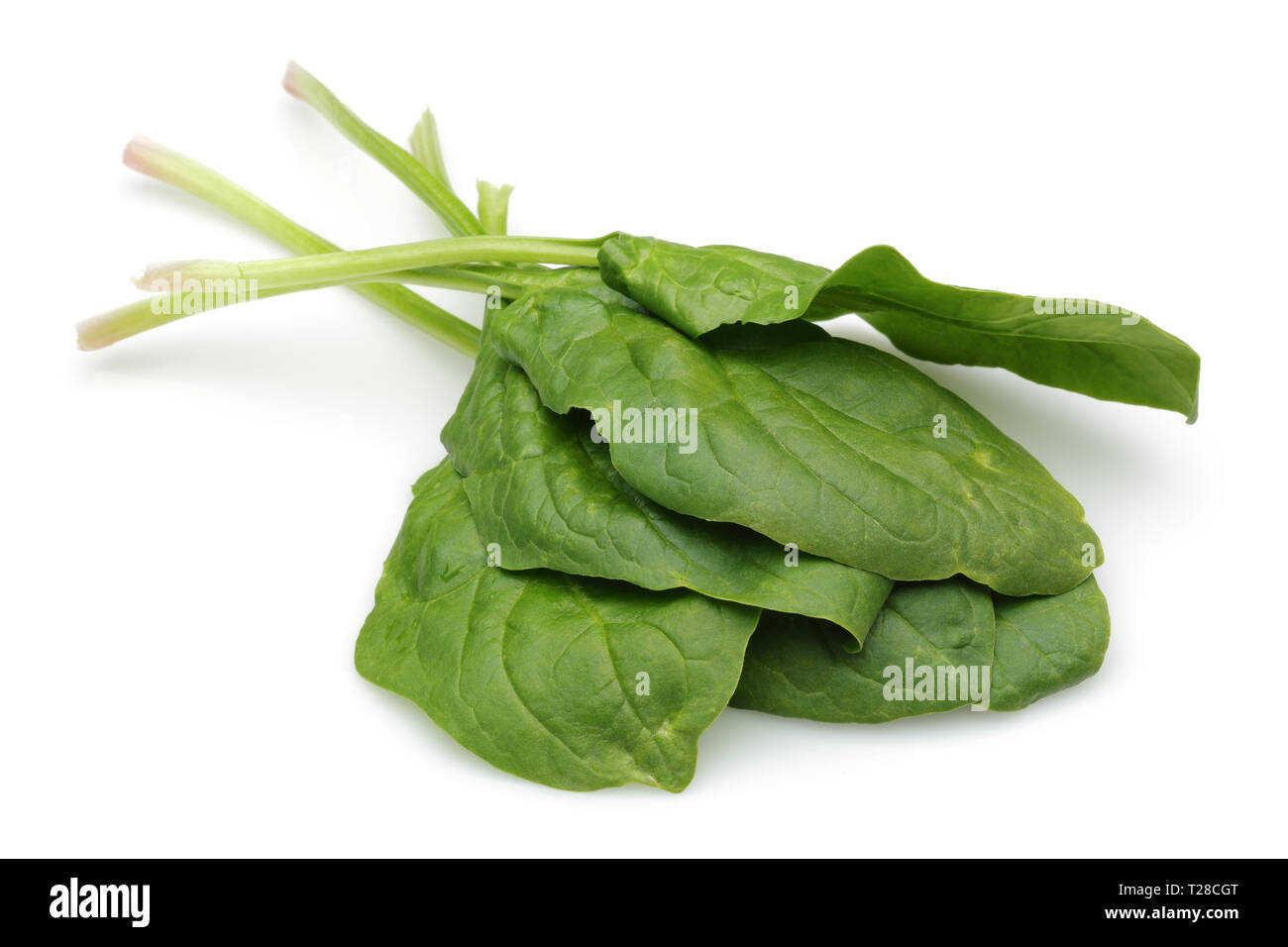 Bunch of fresh spinach isolated on white background Stock Photo - Alamy