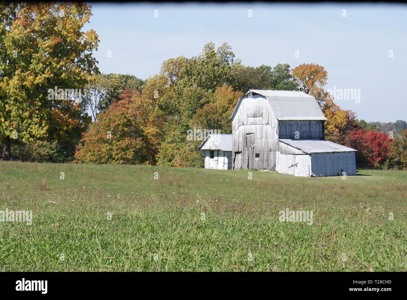 Beautiful barn at the beginning of Fall Stock Photo - Alamy