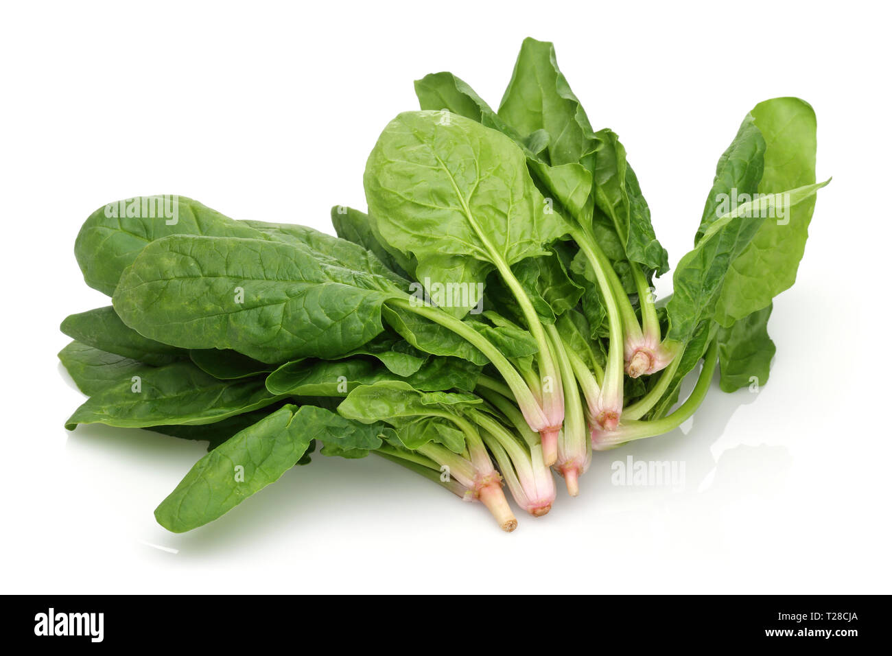 Bunch of fresh spinach isolated on white background Stock Photo - Alamy