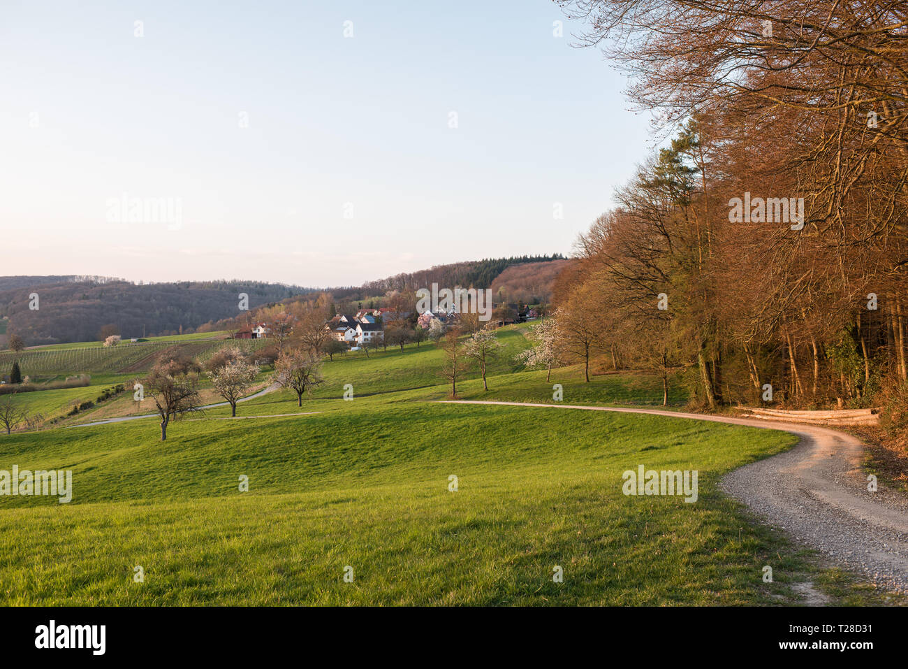 landscape in southern germany Stock Photo - Alamy