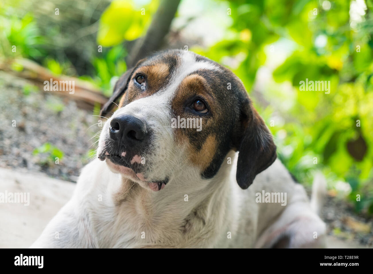 Numb face hi-res stock photography and images - Alamy
