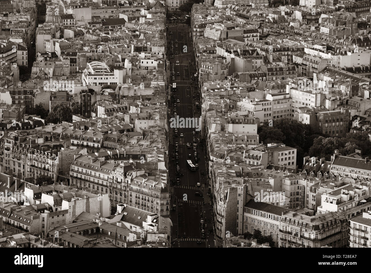 Paris city street rooftop view in black and white Stock Photo - Alamy