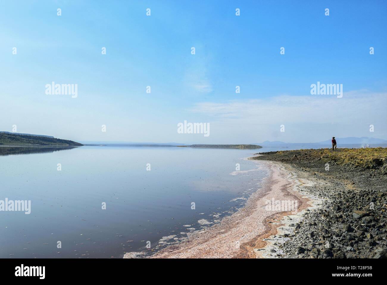 Colorful algae in the arid landscapes of Lake Magadi, Kenya Stock Photo ...