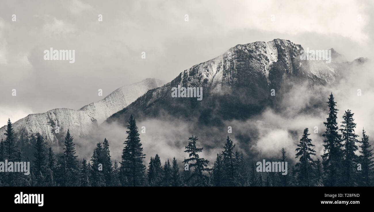 Banff national park view panorama with foggy mountains and forest in ...