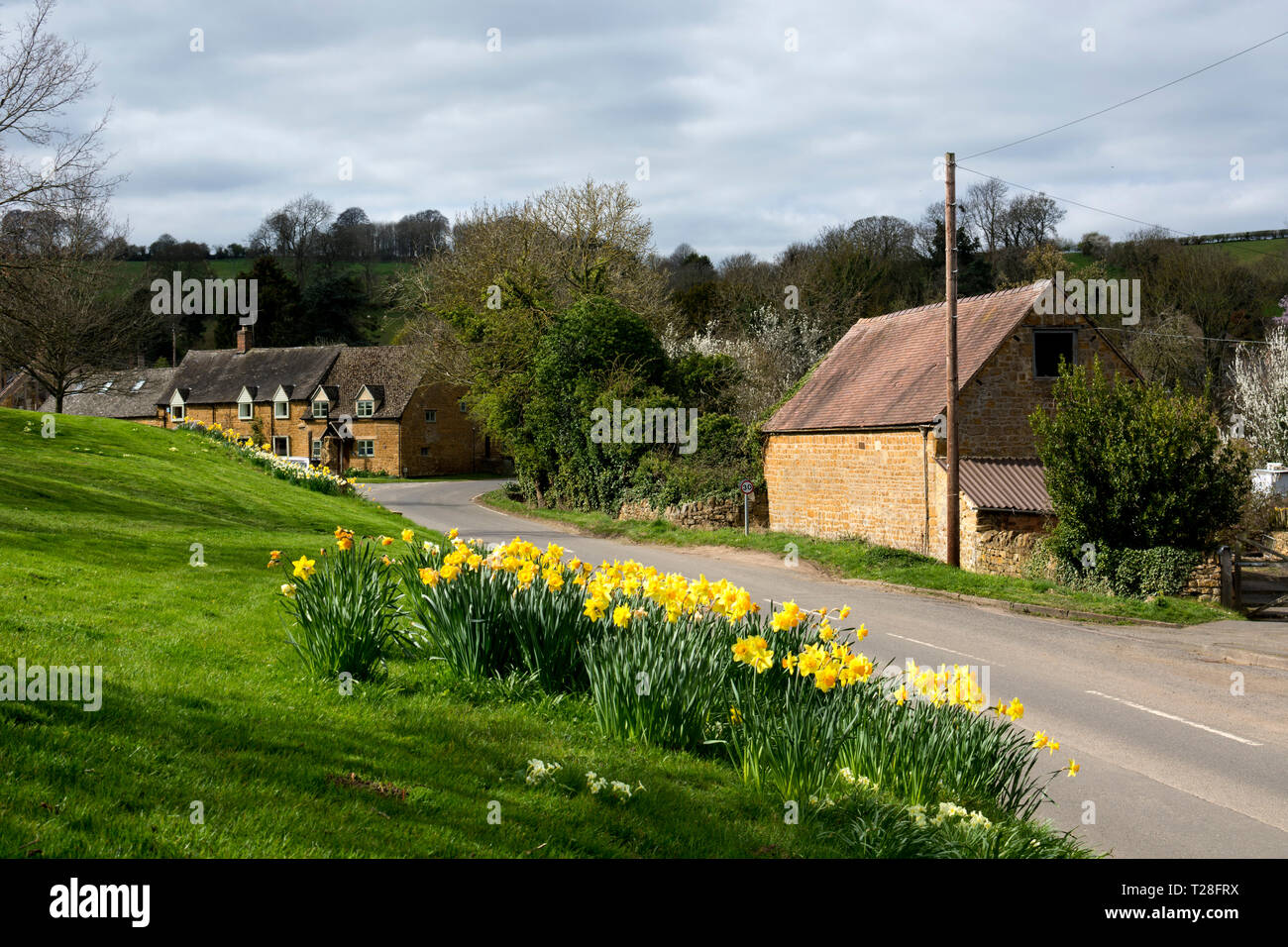 Ilmington village in spring with daffodils, Warwickshire, England, UK ...