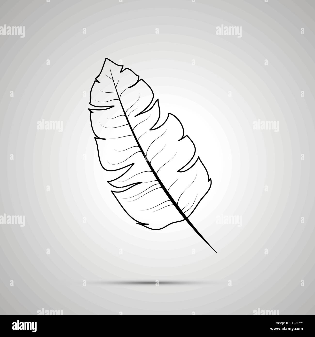 Long tail feather bird hi-res stock photography and images - Alamy