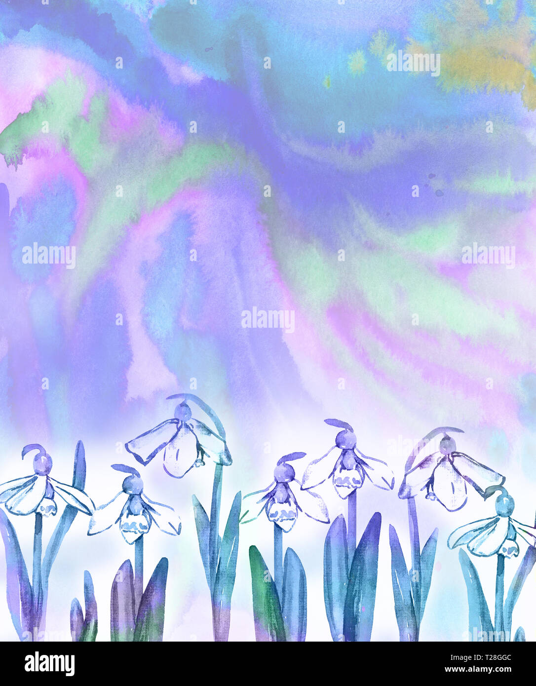 White snowdrops flowers on colorful abstract splashes background in ...
