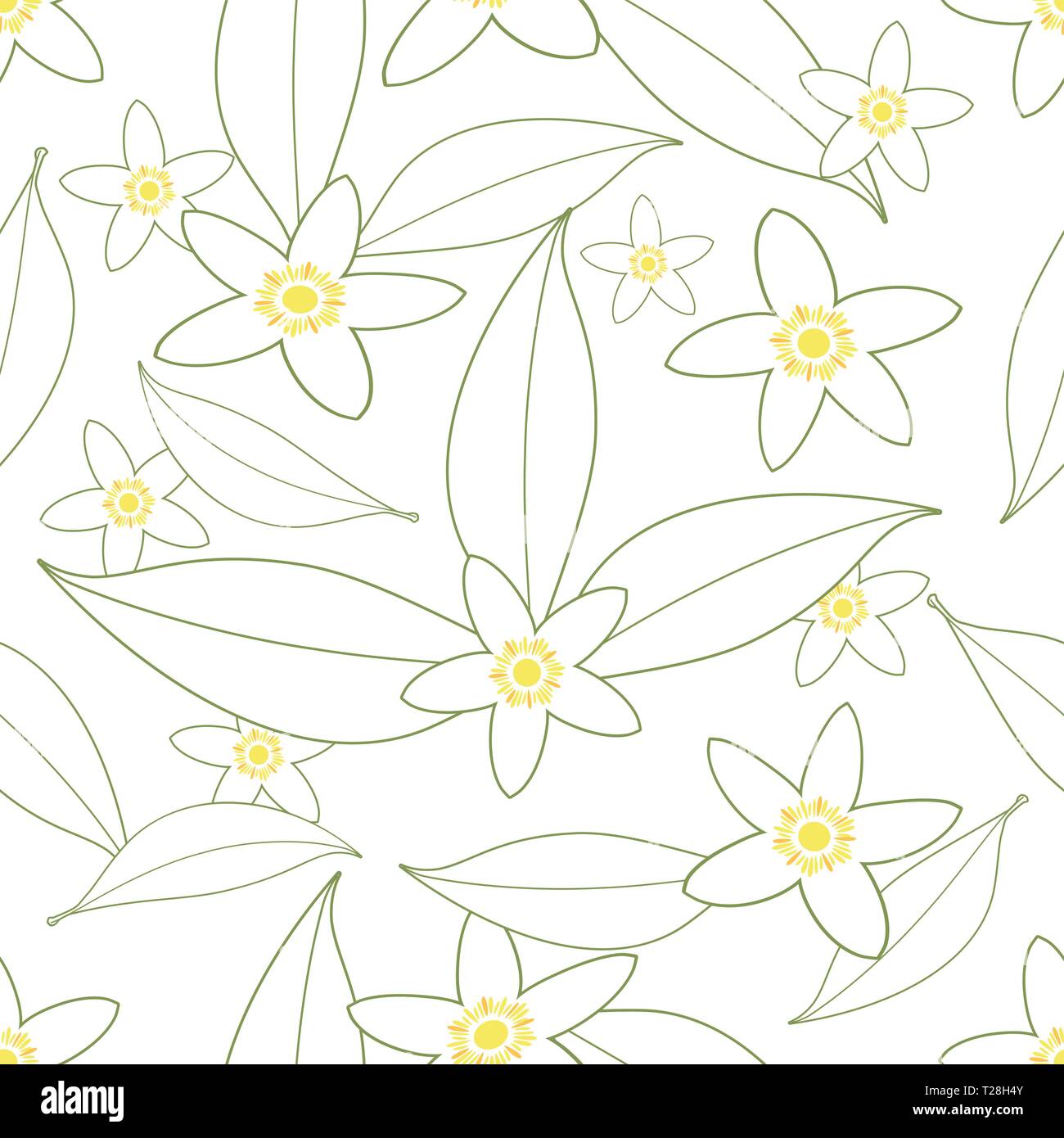 Seamless pattern of orange blossom flowers outlines on white background ...
