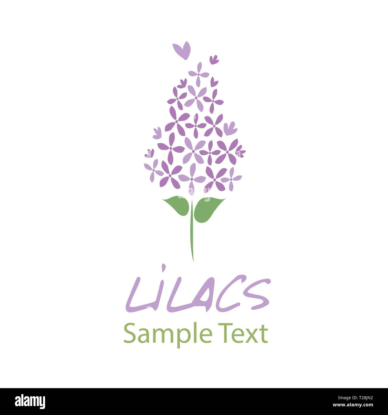 Lilac flower. Logo design. Text hand drawn Stock Vector Image & Art - Alamy