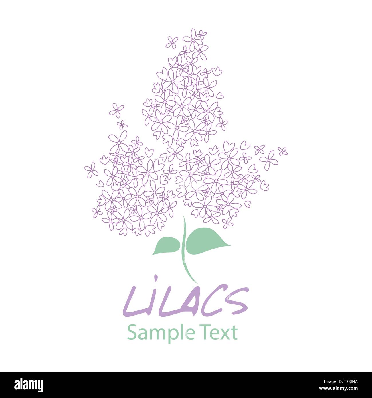 Lilac flower. Logo design. Text hand drawn Stock Vector Image & Art - Alamy