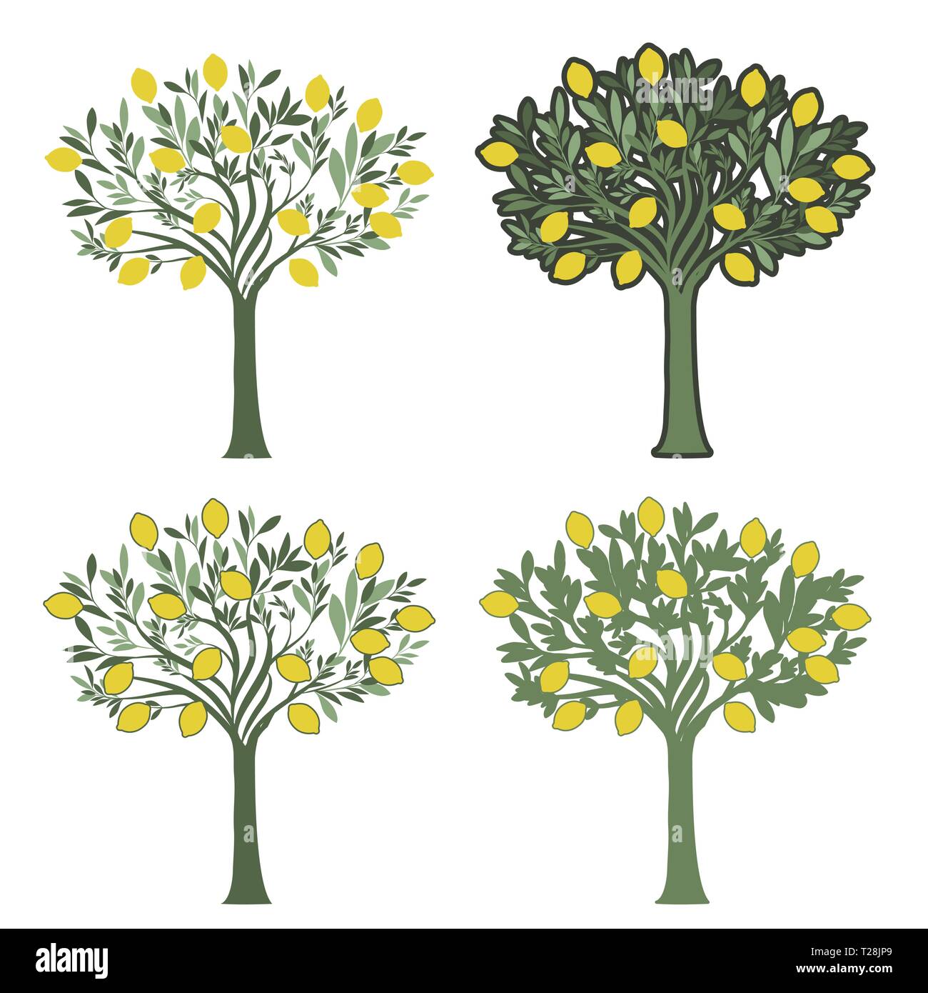 Vector illustrations of four lemon trees with different graphic styles ...