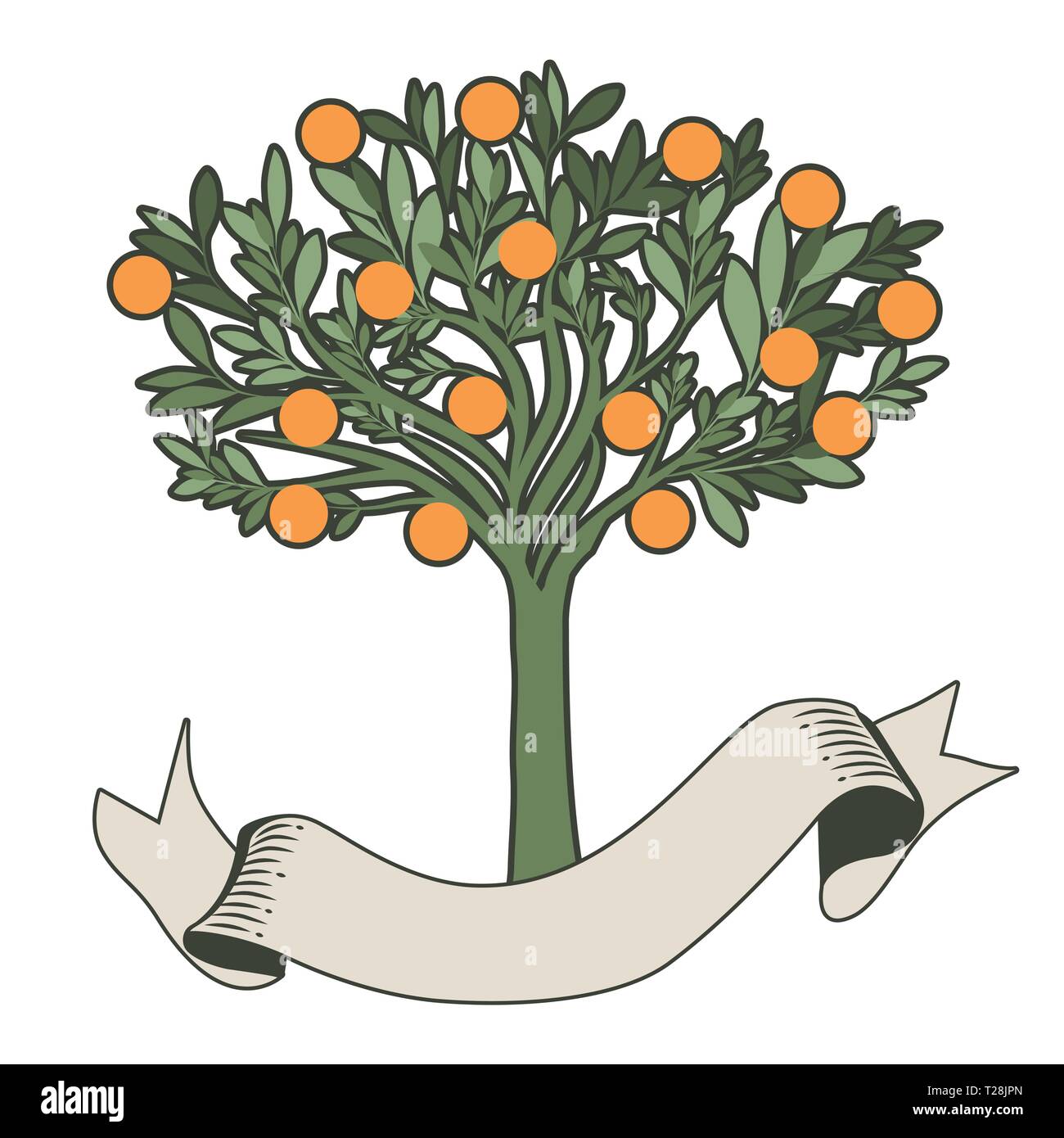 Vector illustration of orange tree with blank label on white background ...