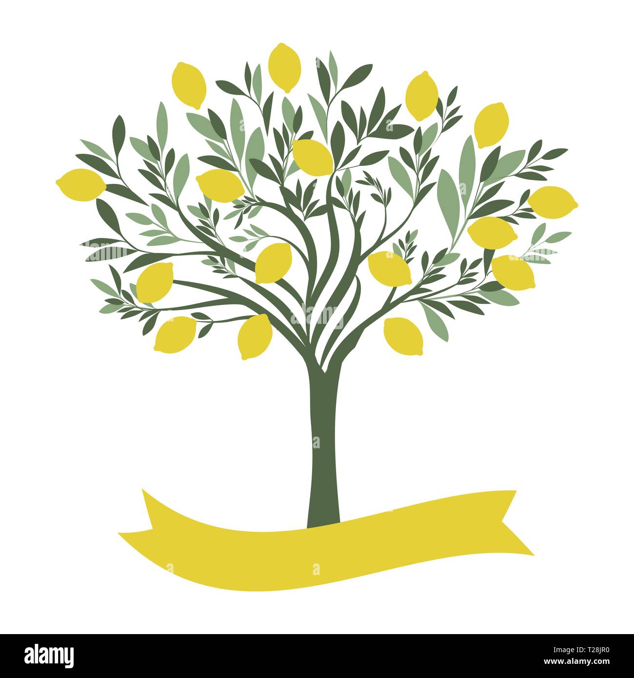 Vector illustration of lemon tree with blank label on white background ...