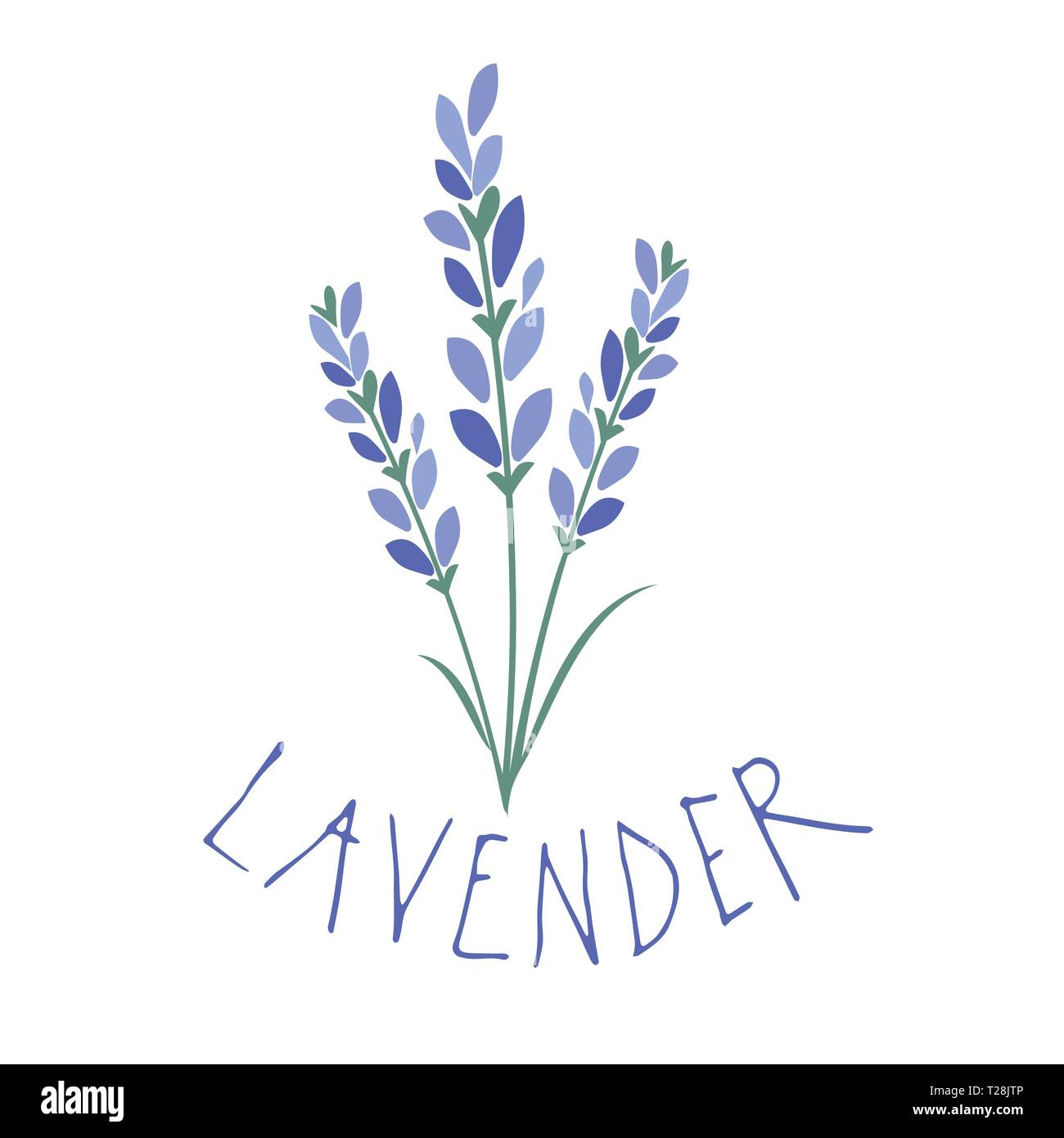 Lavender flower. Logo design. Text hand drawn Stock Vector Image & Art ...