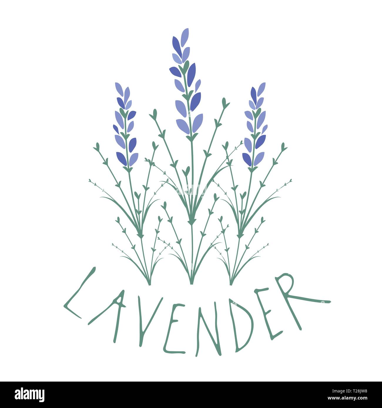 Lavender flower. Logo design. Text hand drawn Stock Vector Image & Art ...