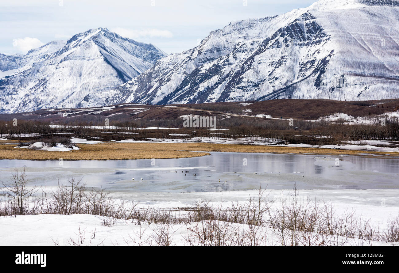 Maskinonge hi-res stock photography and images - Alamy