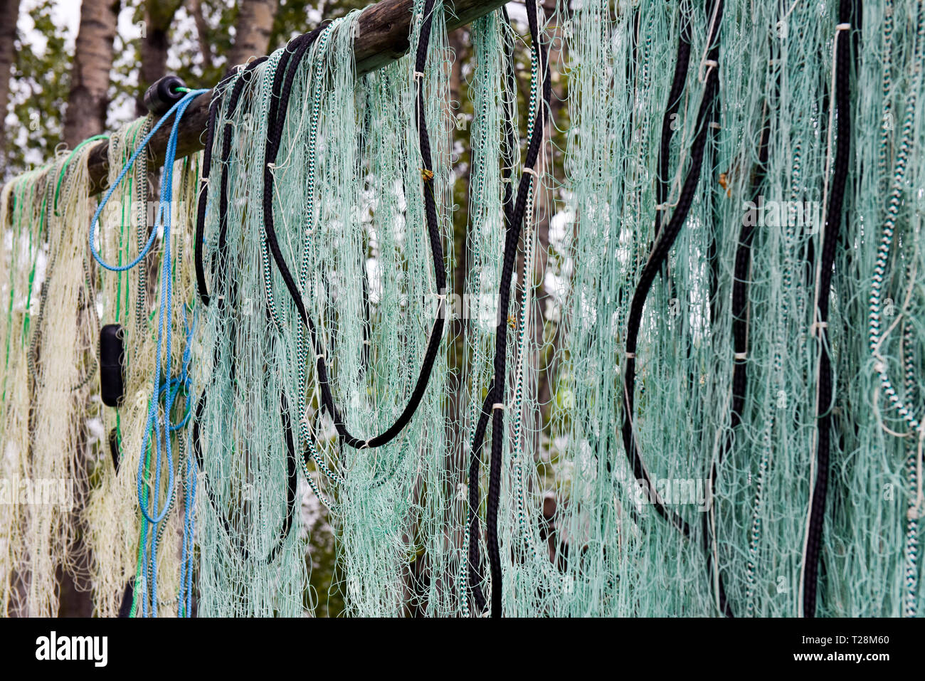 Cree summer hi-res stock photography and images - Alamy